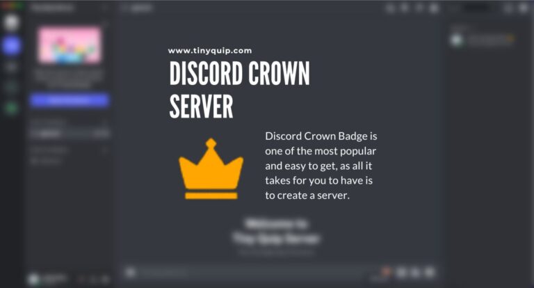 List of 10+ Discord Badges and How to Get Them - Tiny Quip